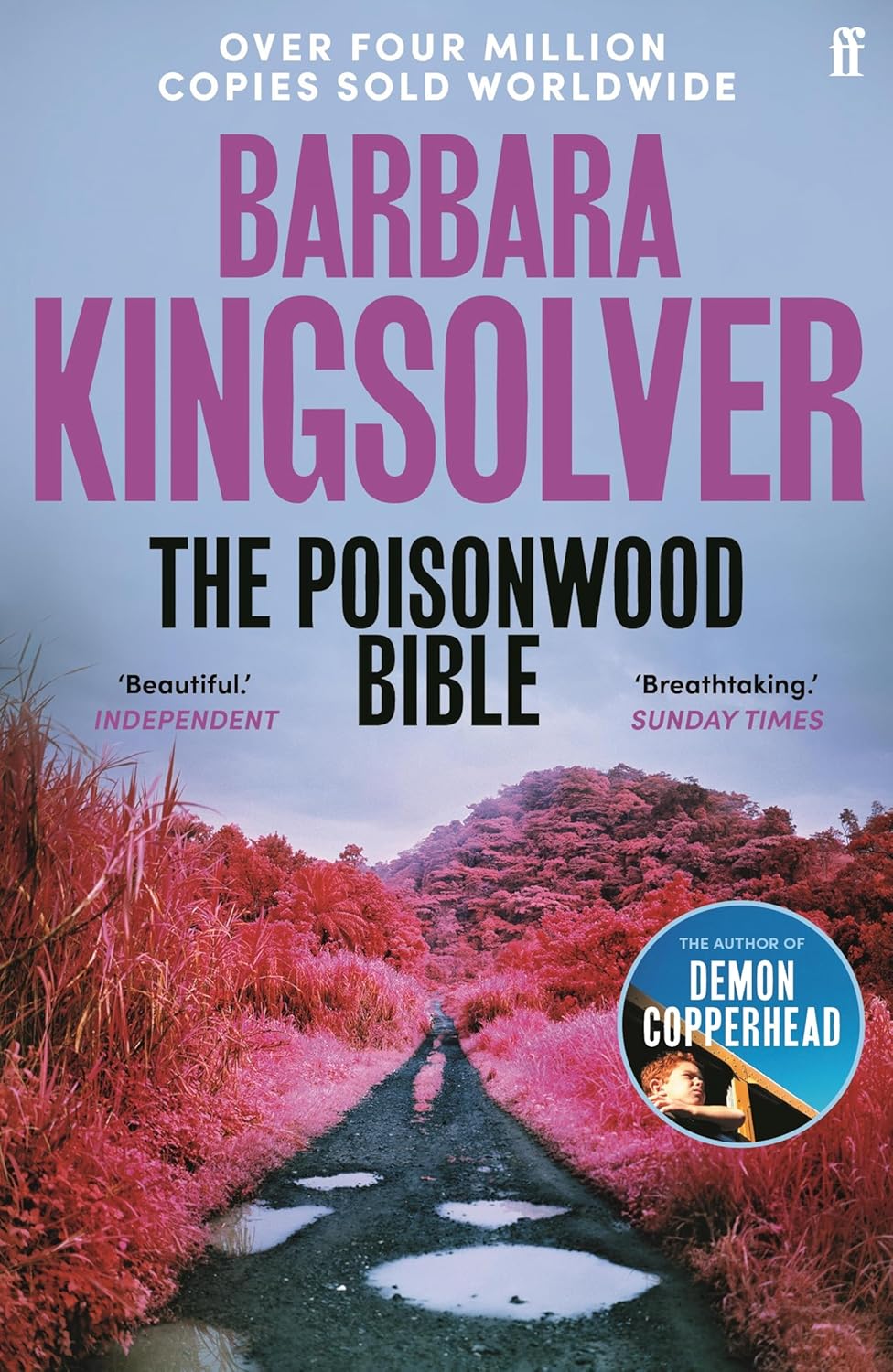 The Poisonwood Bible – Lit Books